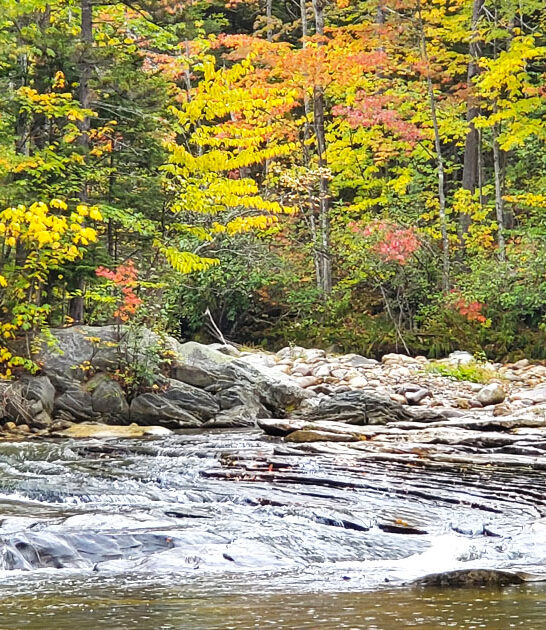 gorgeous hidden gems maine ftr