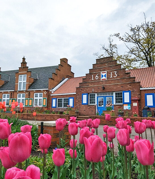 gorgeous spots michigan ftr