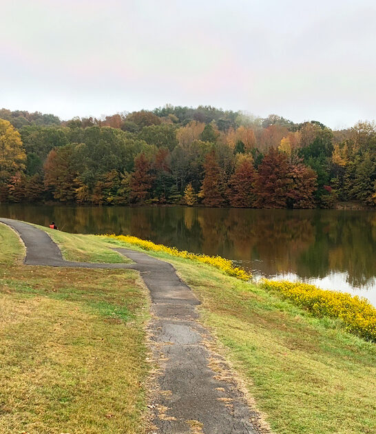 gorgeous state illinois ftr