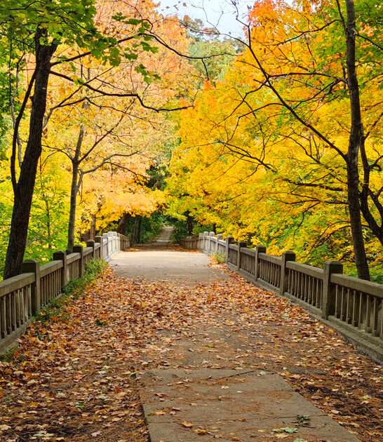 gorgeous trail illinois ftr
