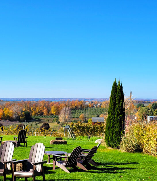 gorgeous wineries michigan ftr