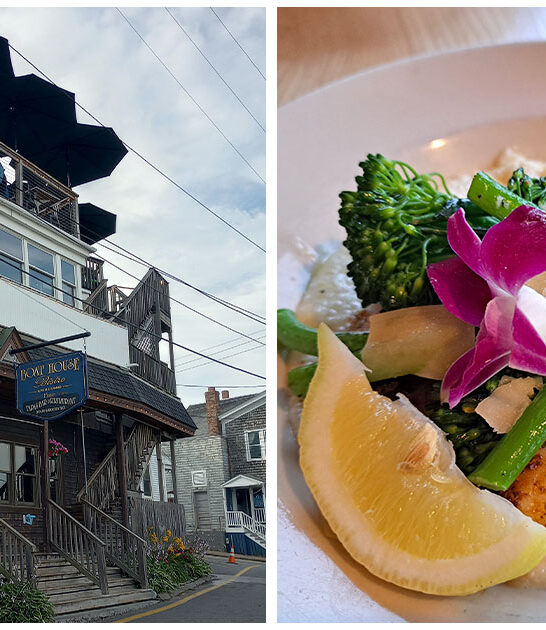 grilled haddock maine restaurant ftr