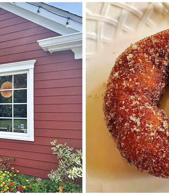 heavenly donuts illinois ftr