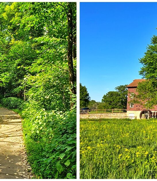hidden cave illinois ftr