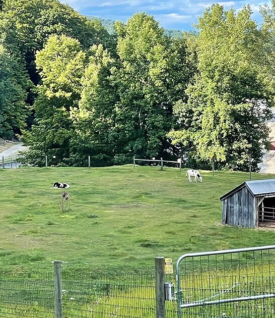 hidden farm vermont FTR