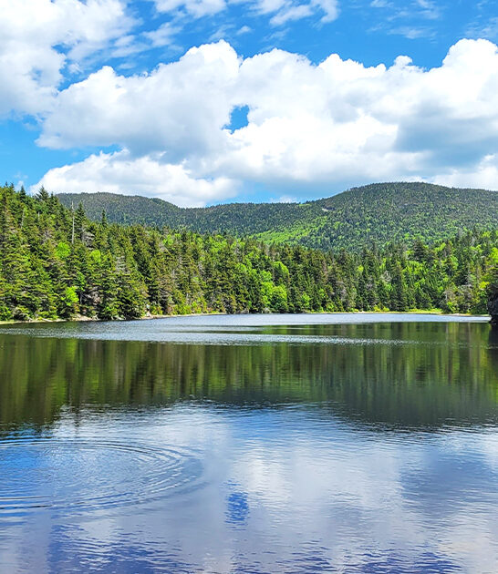 hidden hiking spots vermont FTR