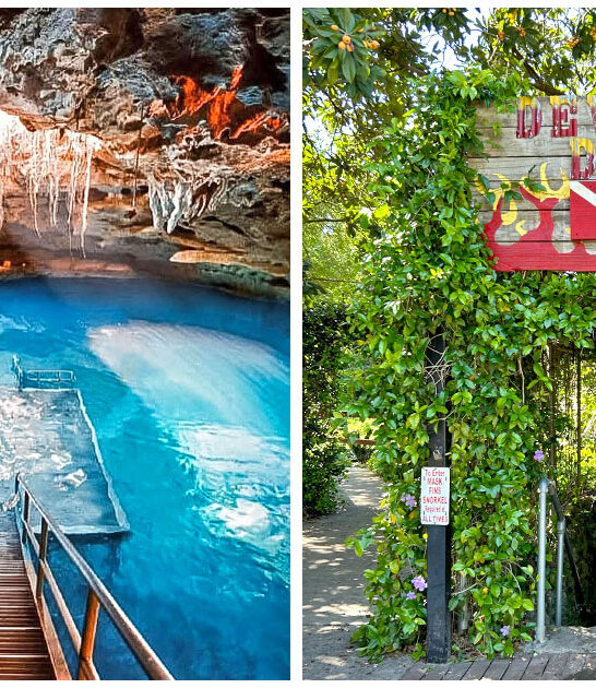 hidden springs florida ftr