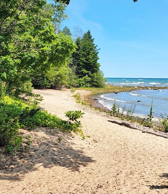 hidden state parks michigan ftr
