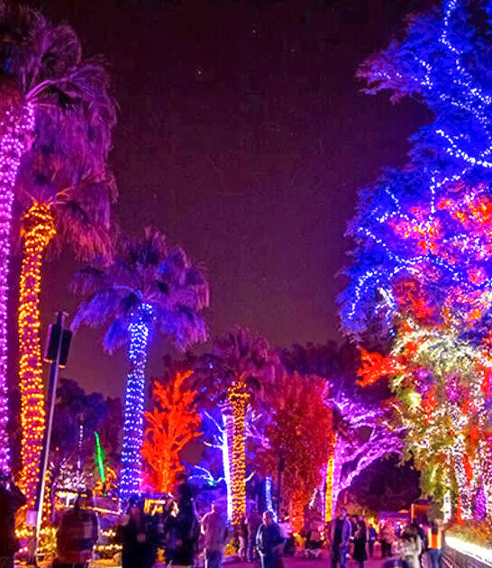 holiday road trip arizona ftr