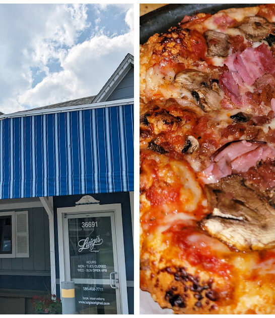 homey pizza joints michigan ftr