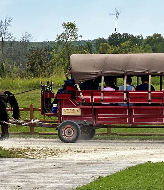 horse carriage wisconsin museum ftr