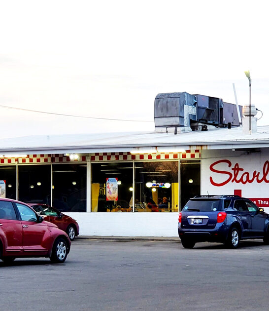 iconic coney island michigan ftr