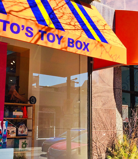 illinois enchanting toy stores ftr