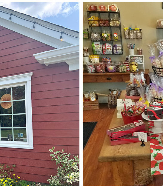 illinois old world spots ftr