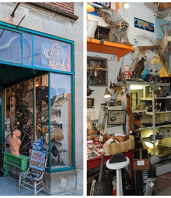 illinois quirky antique shop ftr