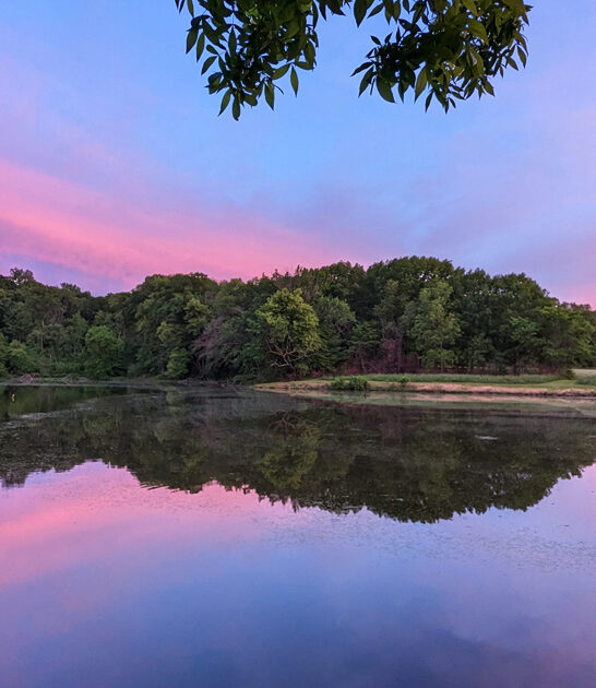 illinois state park ftr