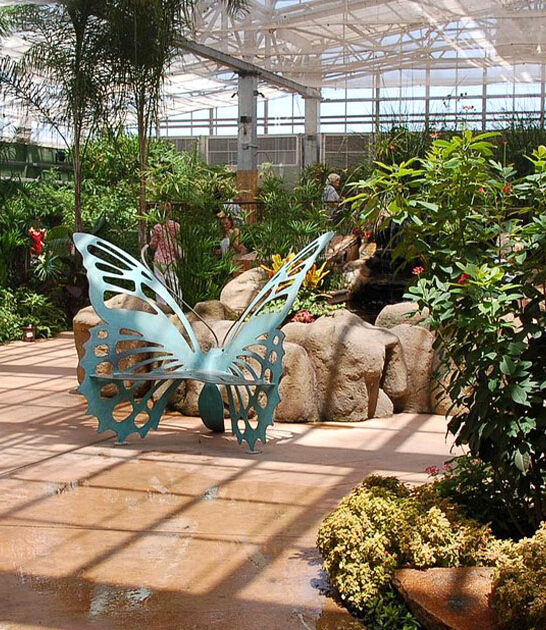 immersive butterfly experience arizona ftr