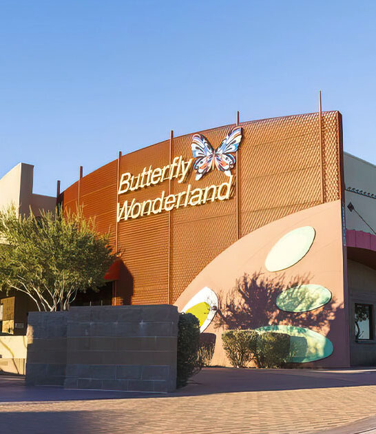indoor butterfly pavilion arizona ftr