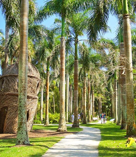 jaw dropping oases florida ftr