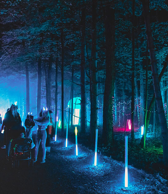 light show trail michigan ftr