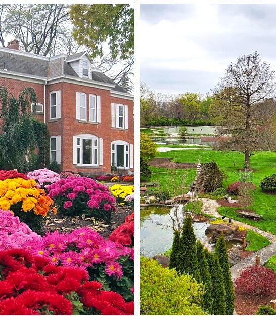 little known garden ohio ftr