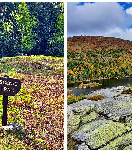 lush forest paradise maine ftr
