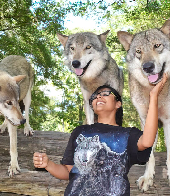magical animal sanctuaries florida ftr