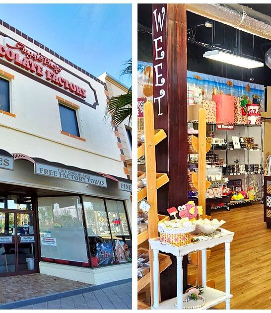 magical chocolate shop florida ftr