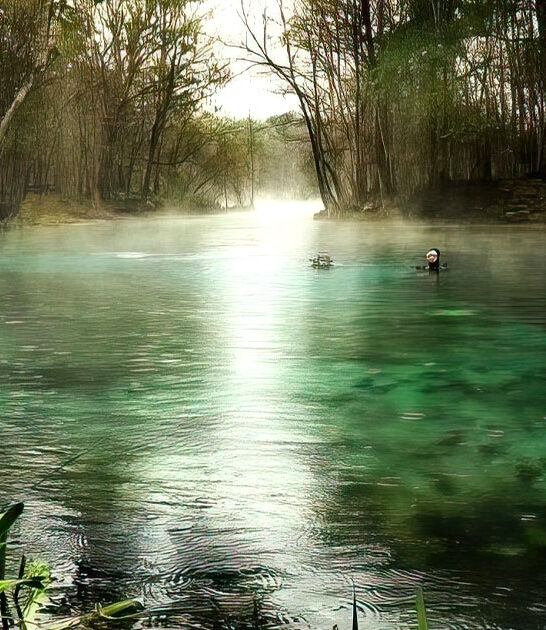 magical florida secret springs ftr