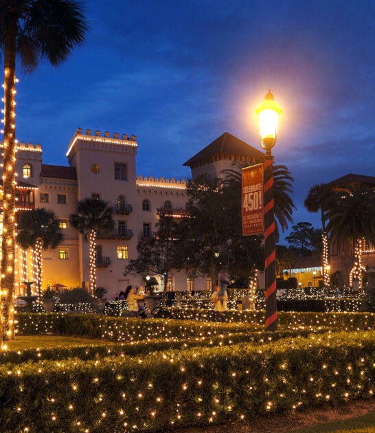 magical lights display florida ftr