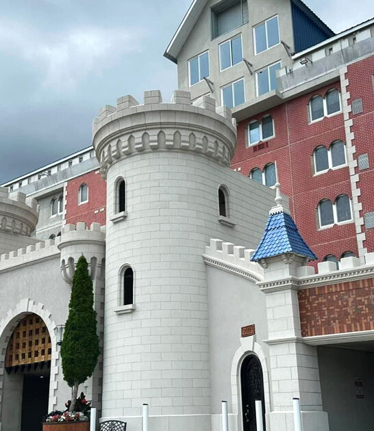 magical michigan castle ftr