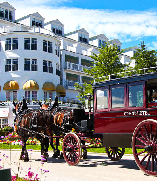 magical michigan spots ftr