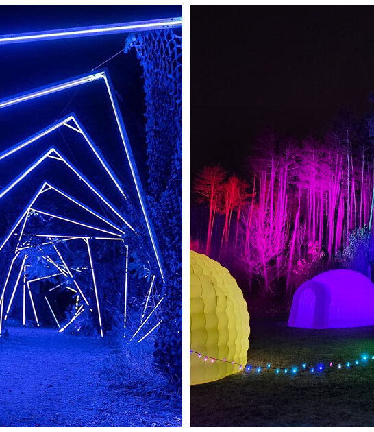 magical night walk michigan ftr