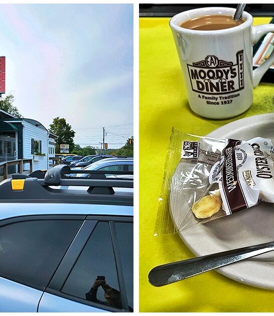 maine diner haddock chowder ftr