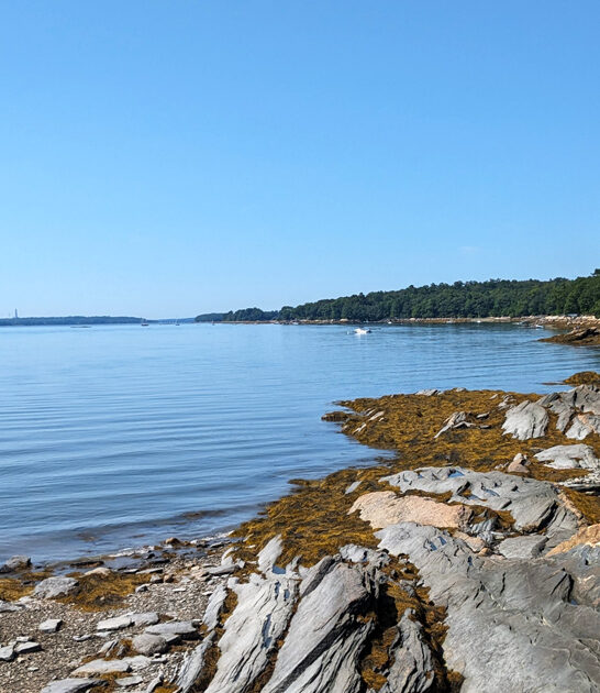 maine park scenic views ftr