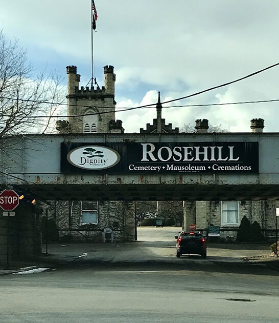 massive historic cemeteries illinois ftr