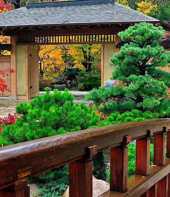 mesmerizing road trip illinois ftr