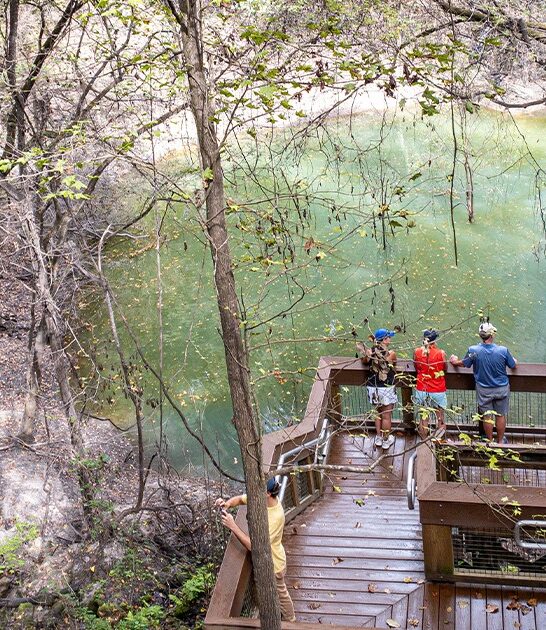 mesmerizing state park florida ftr