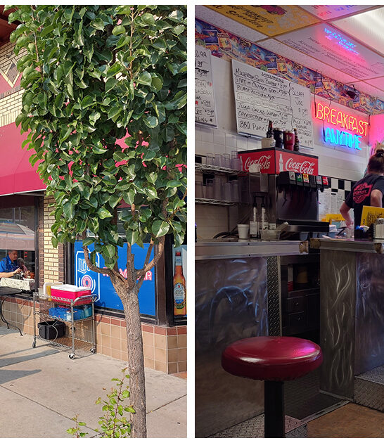 michigan cafe best hash ftr