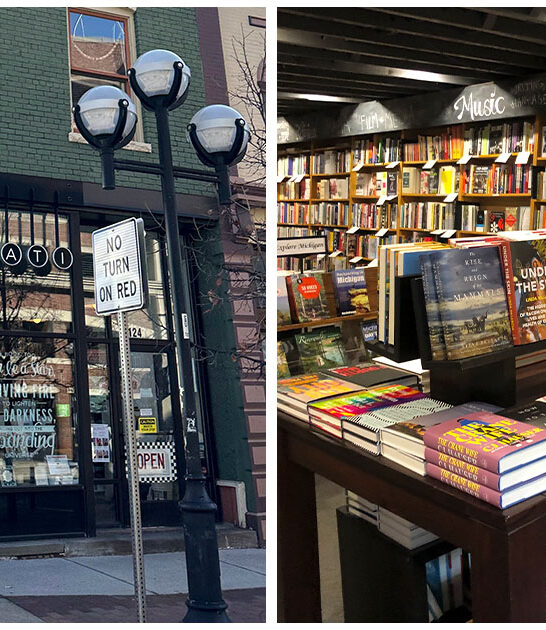 michigan charming hidden bookshops ftr