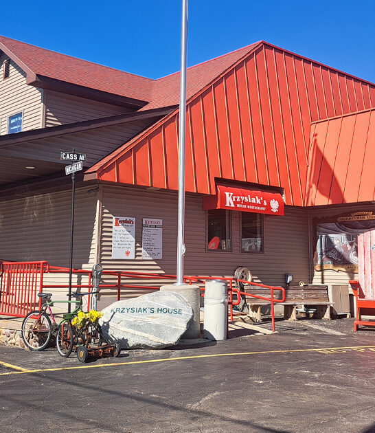 michigan chicken noodle soup ftr