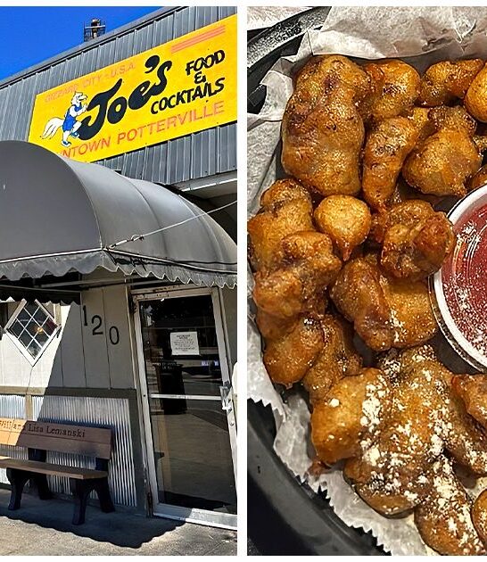 michigan famous chicken gizzards ftr