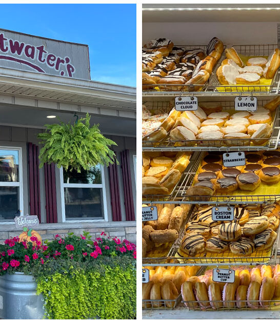 michigan heavenly donut shops ftr