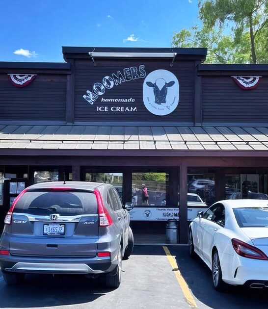 michigan homemade ice cream ftr