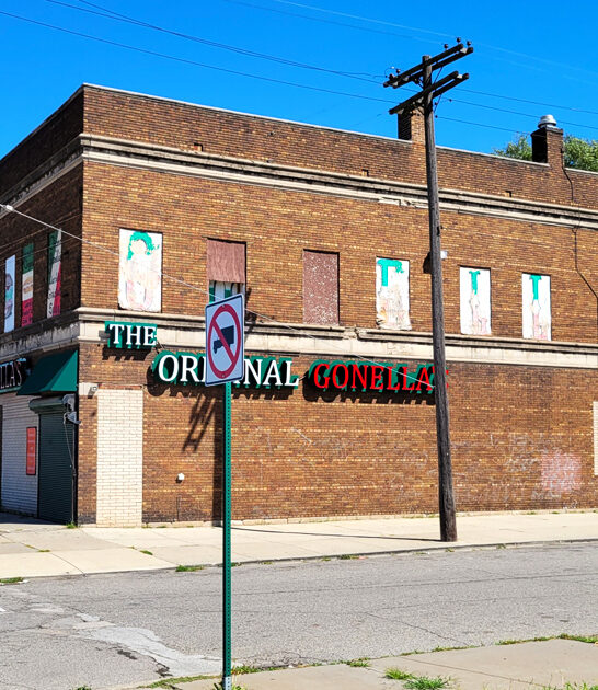 michigan massive italian subs ftr