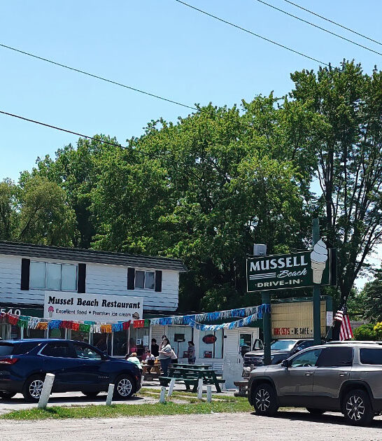 michigan top coney dogs ftr