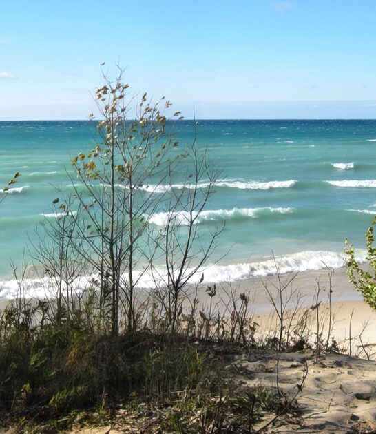 michigan underrated park ftr