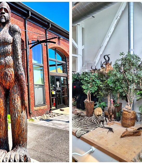 mind bending places maine ftr