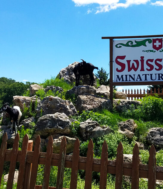 miniature wisconsin golf course ftr