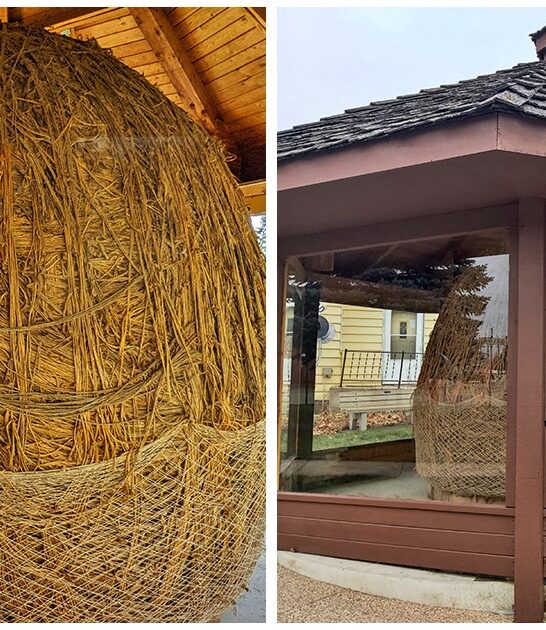 minnesota ball quirky attraction ftr